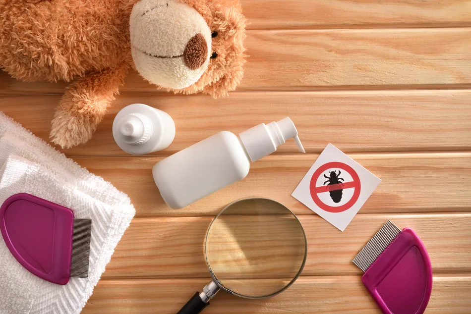 Back to School Lice Prevention: Why Is It Important? | LiceDoctors