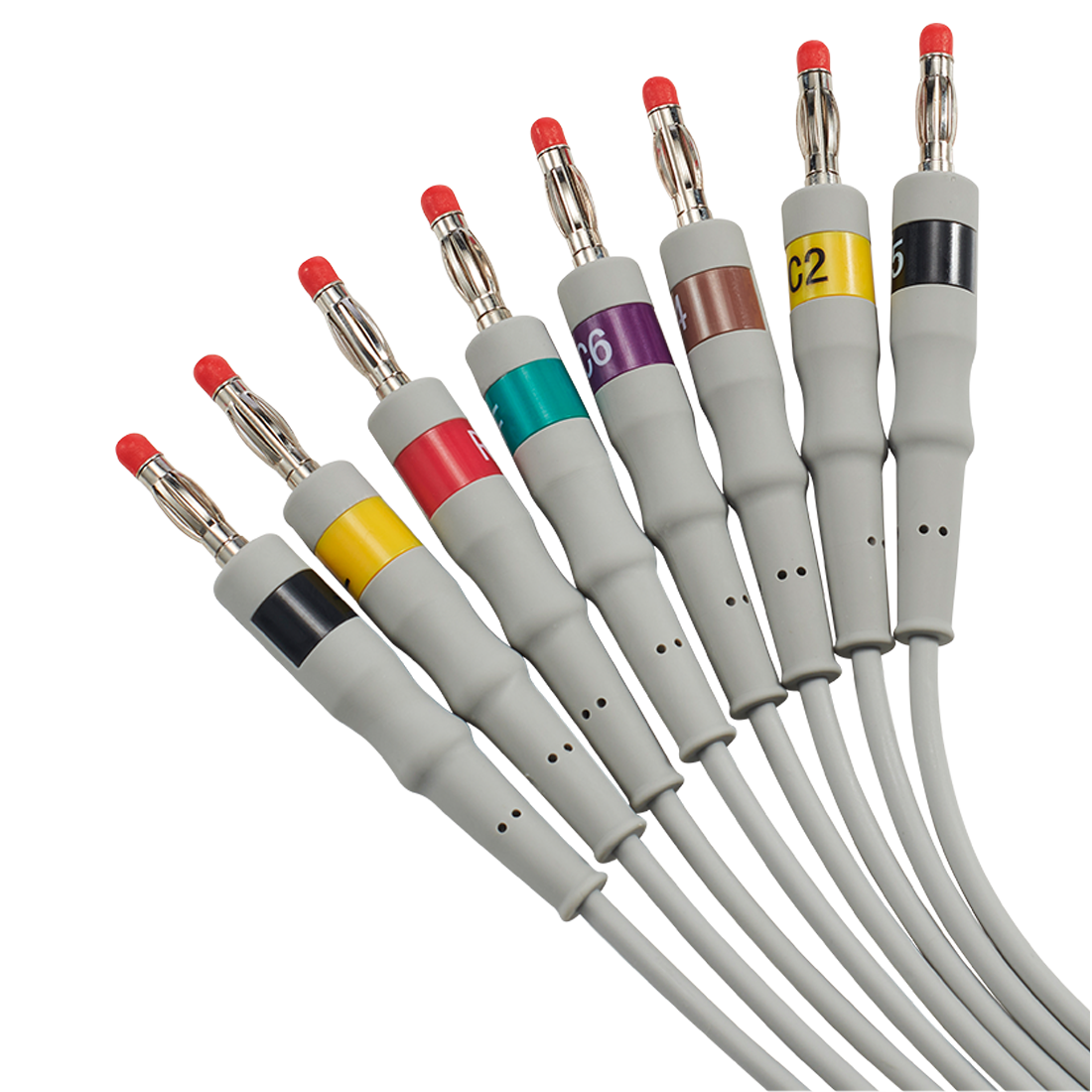 EKG