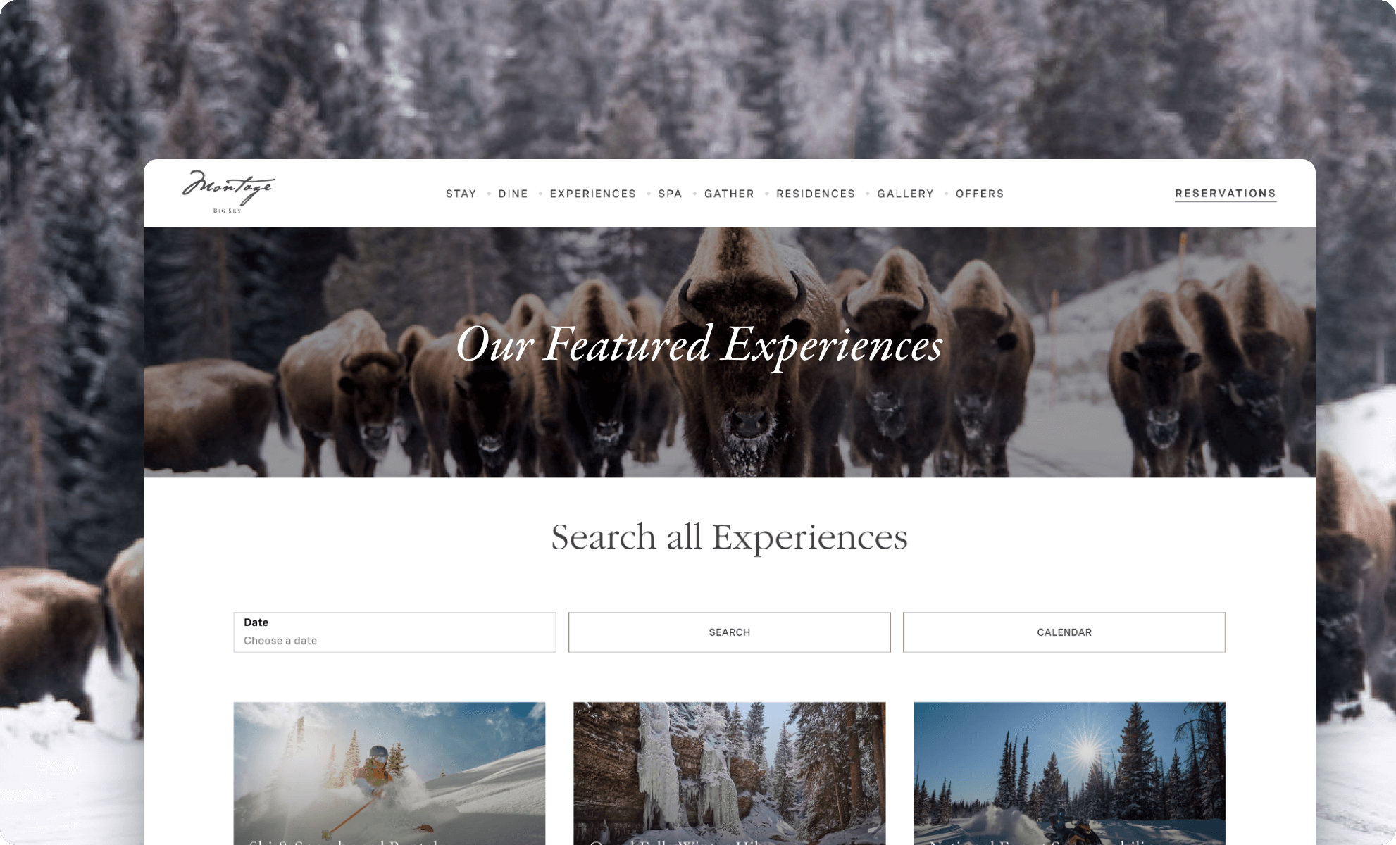 Way | The all-in-one experiential platform