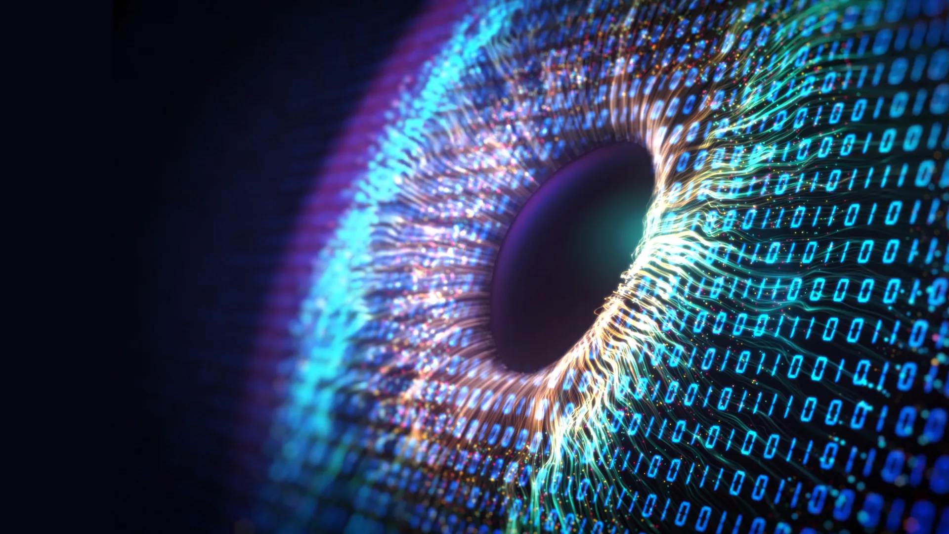 Who We Are | Built from Experience, Not a Textbook