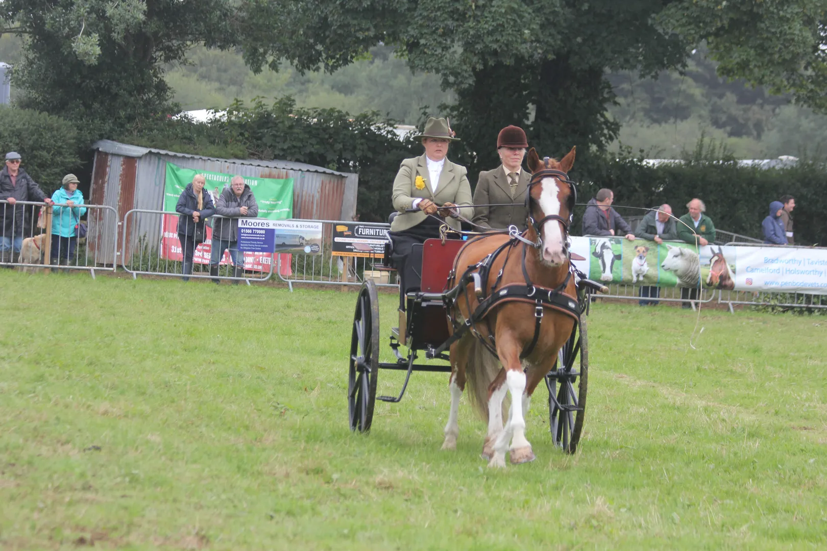 Welcome to The Show | The Launceston Show