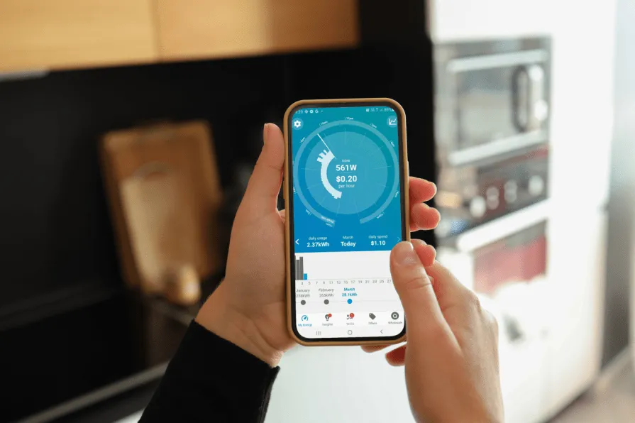 Energy Monitor | Amber Electric