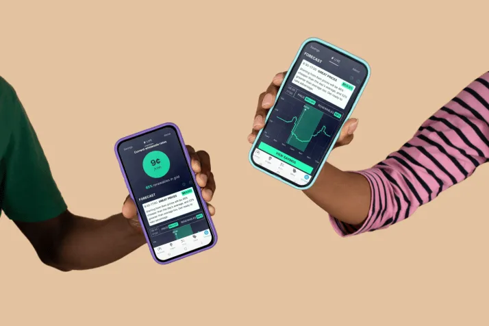 Energy Monitor | Amber Electric