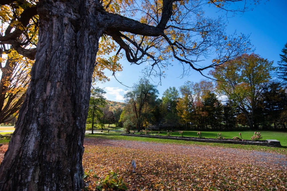 The Estate at Maplewood