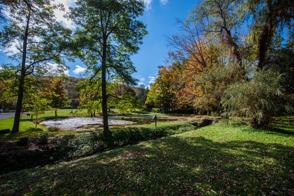 The Estate at Maplewood