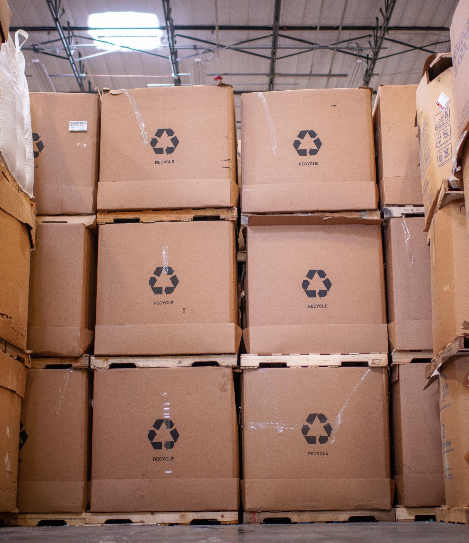 Home - Smart International