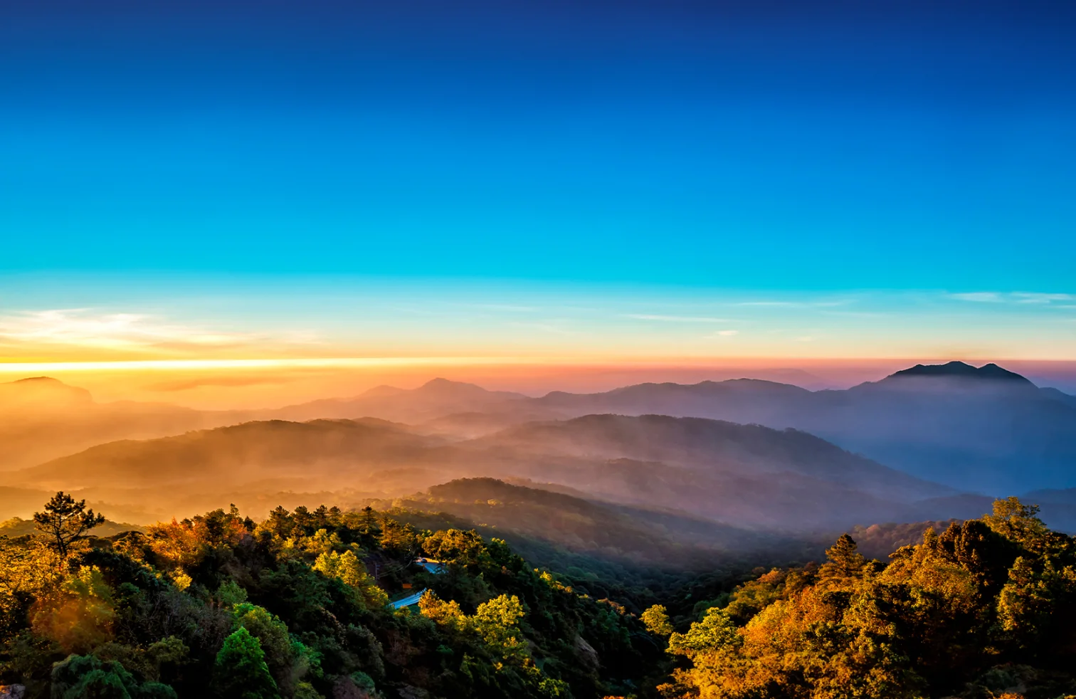 GoNexus Group | Innovative Tourism Solutions