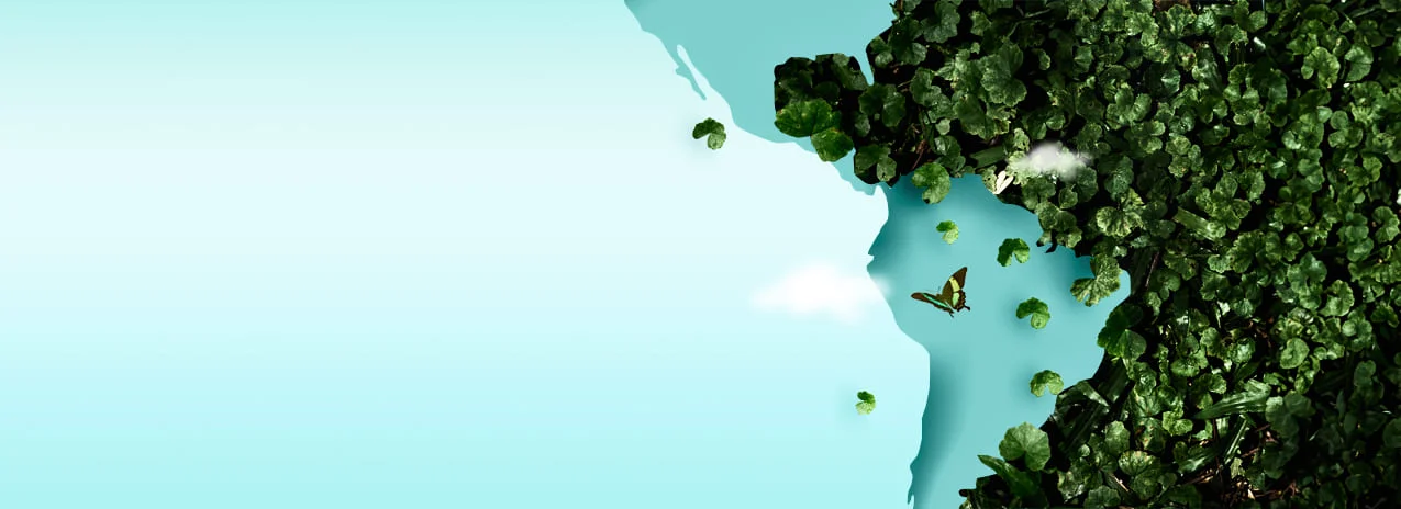 GoNexus Group | Innovative Tourism Solutions