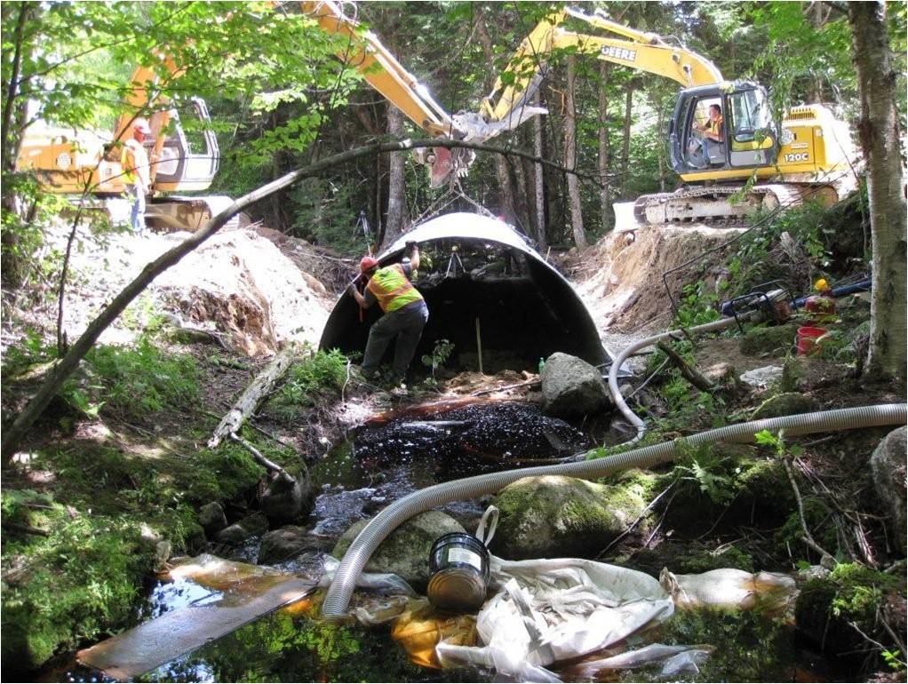 Culverts - the Good, the Bad and the Ugly | Project SHARE