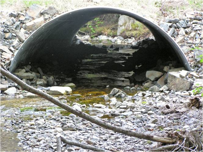 Culverts - the Good, the Bad and the Ugly | Project SHARE