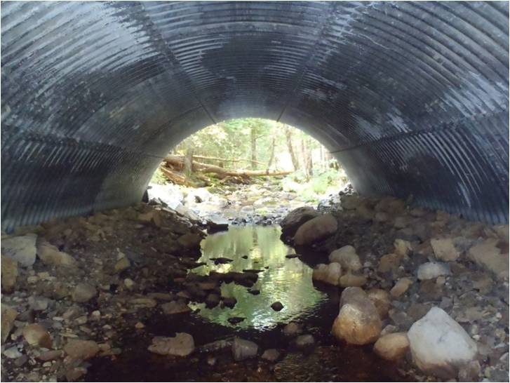 Culverts - the Good, the Bad and the Ugly | Project SHARE