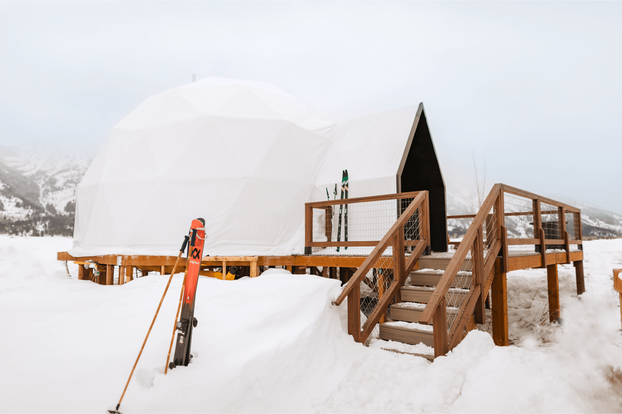 Dwell in the Wild - Tammah