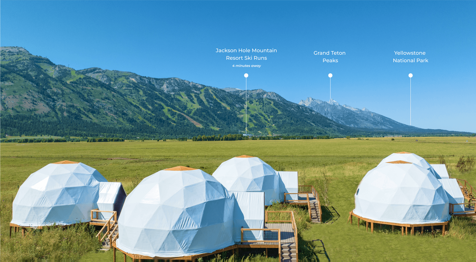 Dwell in the Wild - Tammah