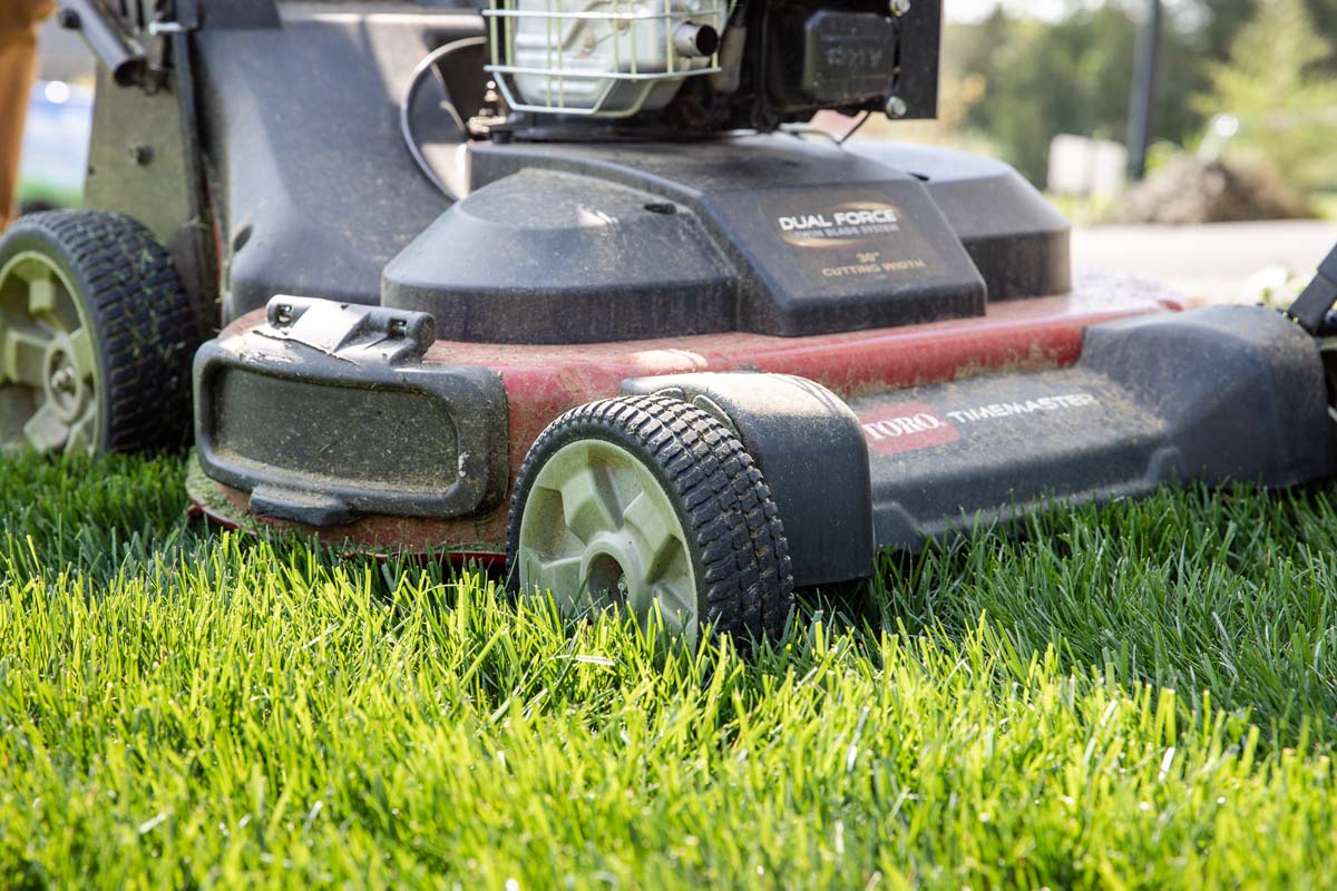 The Best Professional Mowing Service in Virginia | Reliable Lawn Care