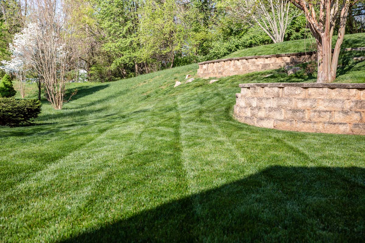 The Best Lawn Care Service in Virginia | Reliable Lawn Care