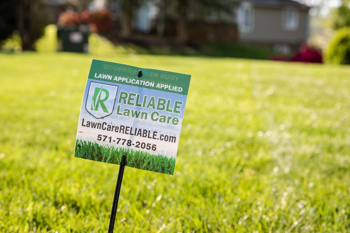 The Best Lawn Care Service in Virginia | Reliable Lawn Care