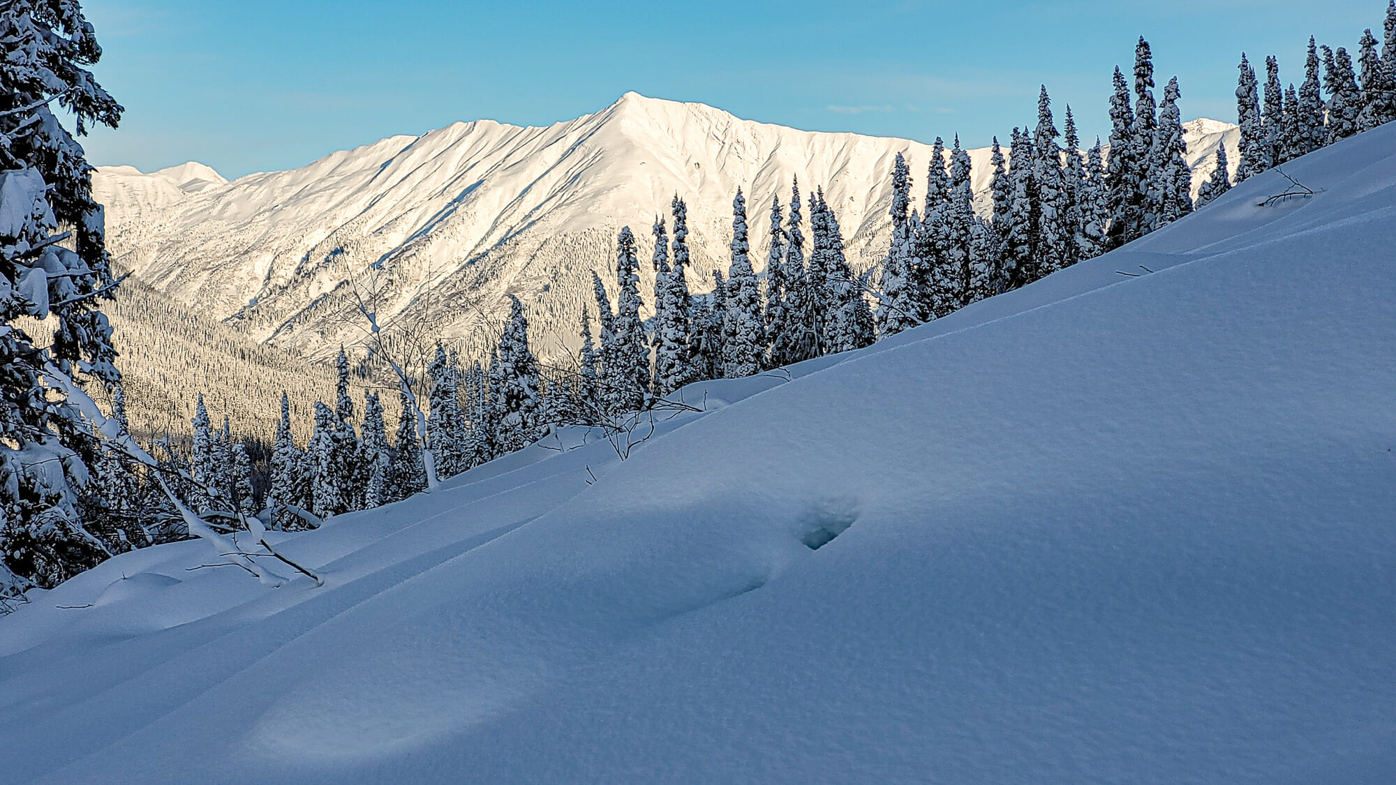 All about Heli Skiing | Heli Ski Holiday