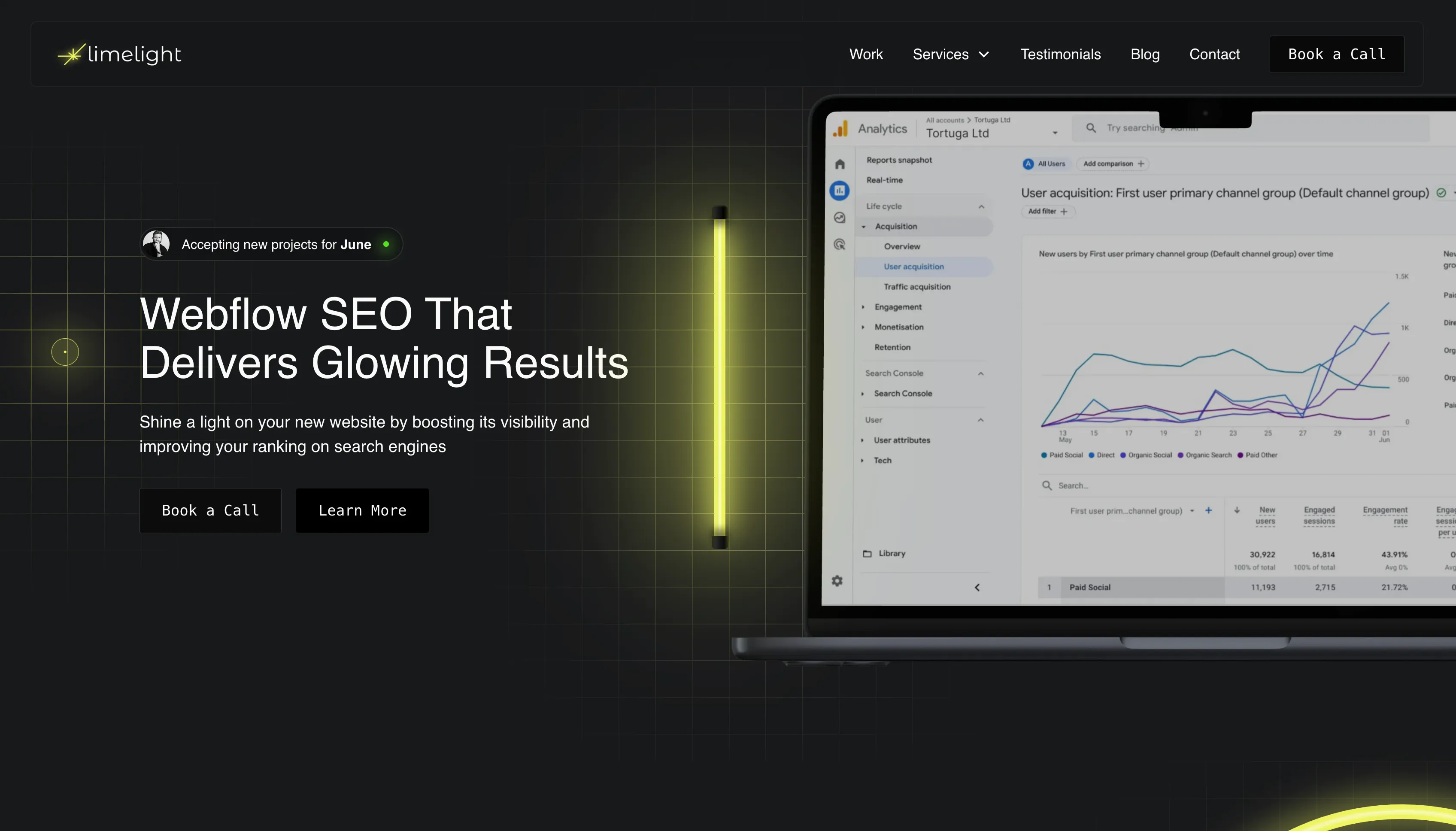 Professional SEO Services to Increase Your Visibility | Limelight Digital