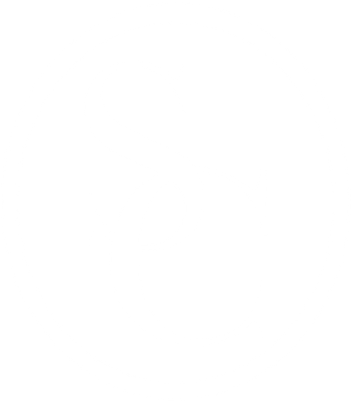 The Schorr Collection