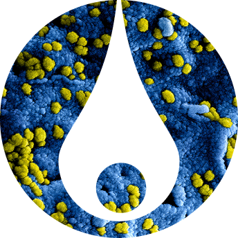 IFLI - The Institute for Follicular Lymphoma Innovation