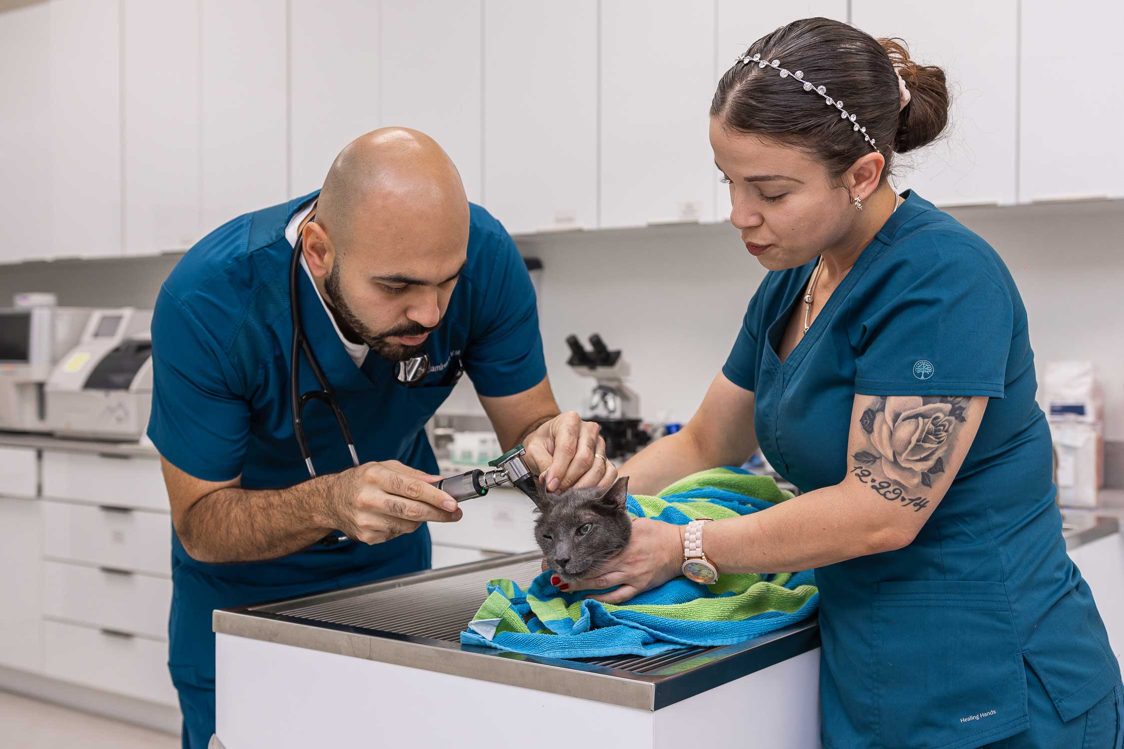 High-Quality Vet Hospital in Miami, FL | Bethel Pet Hospital