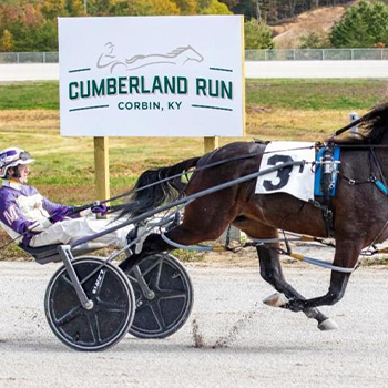 Horses, Horsepower & Hollers