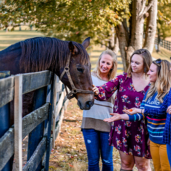 Horses, Horsepower & Hollers