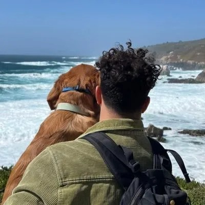 Marco Cornacchia - Wall of portfolios