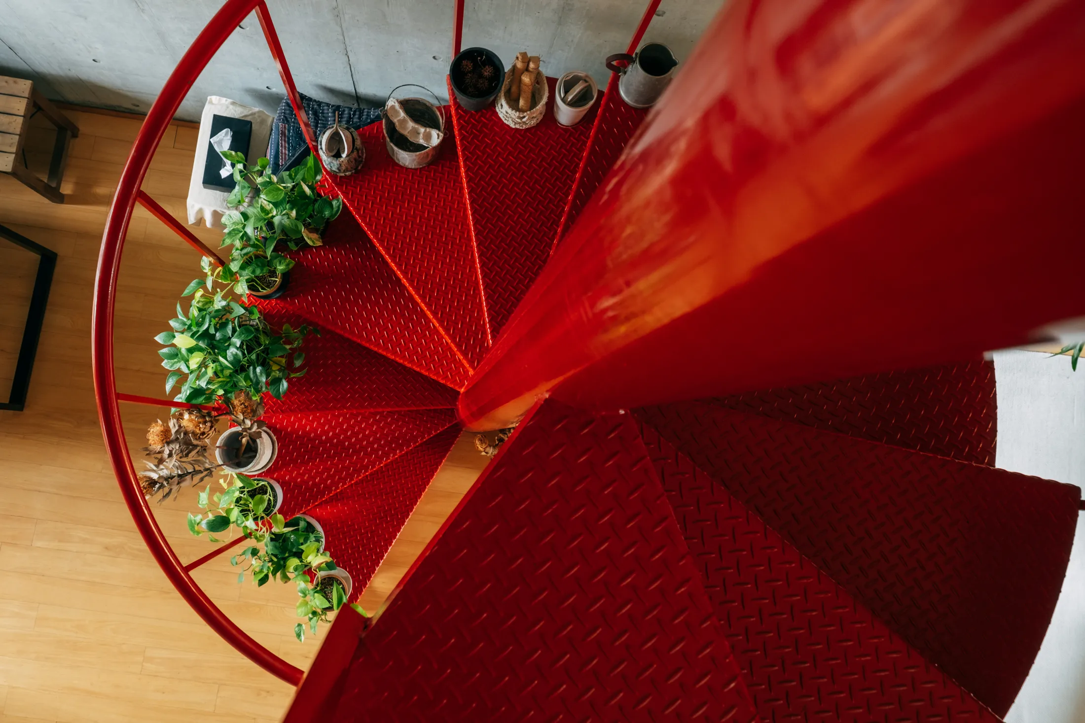 Plants Aplenty: Greening your Interior | Never Too Small