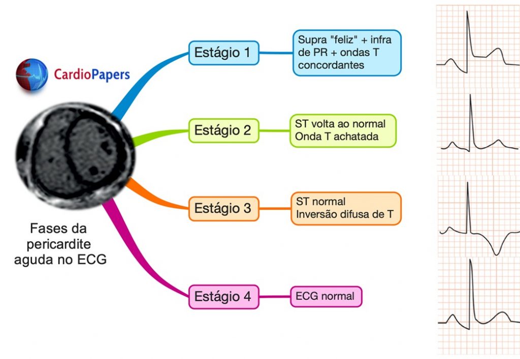 Afya Papers | O que você não pode esquecer sobre como investigar ...