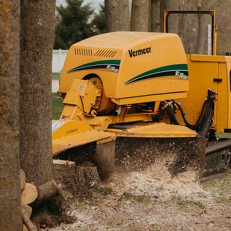 Stump Grinding in Southeast Michigan | Momentum Tree Experts