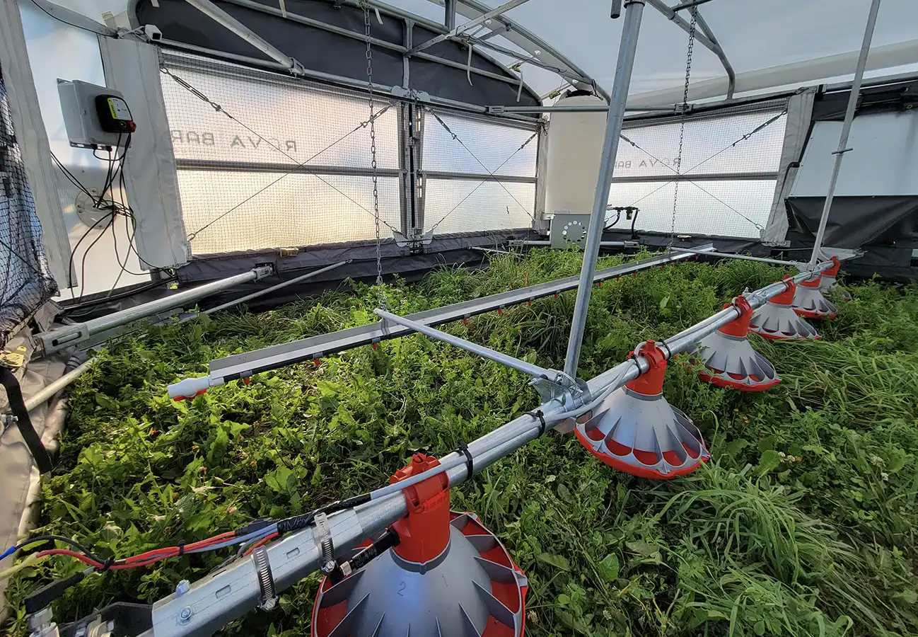 How Mobile Chicken Coops Fit into Regenerative Farming | UKKÖ Robotics