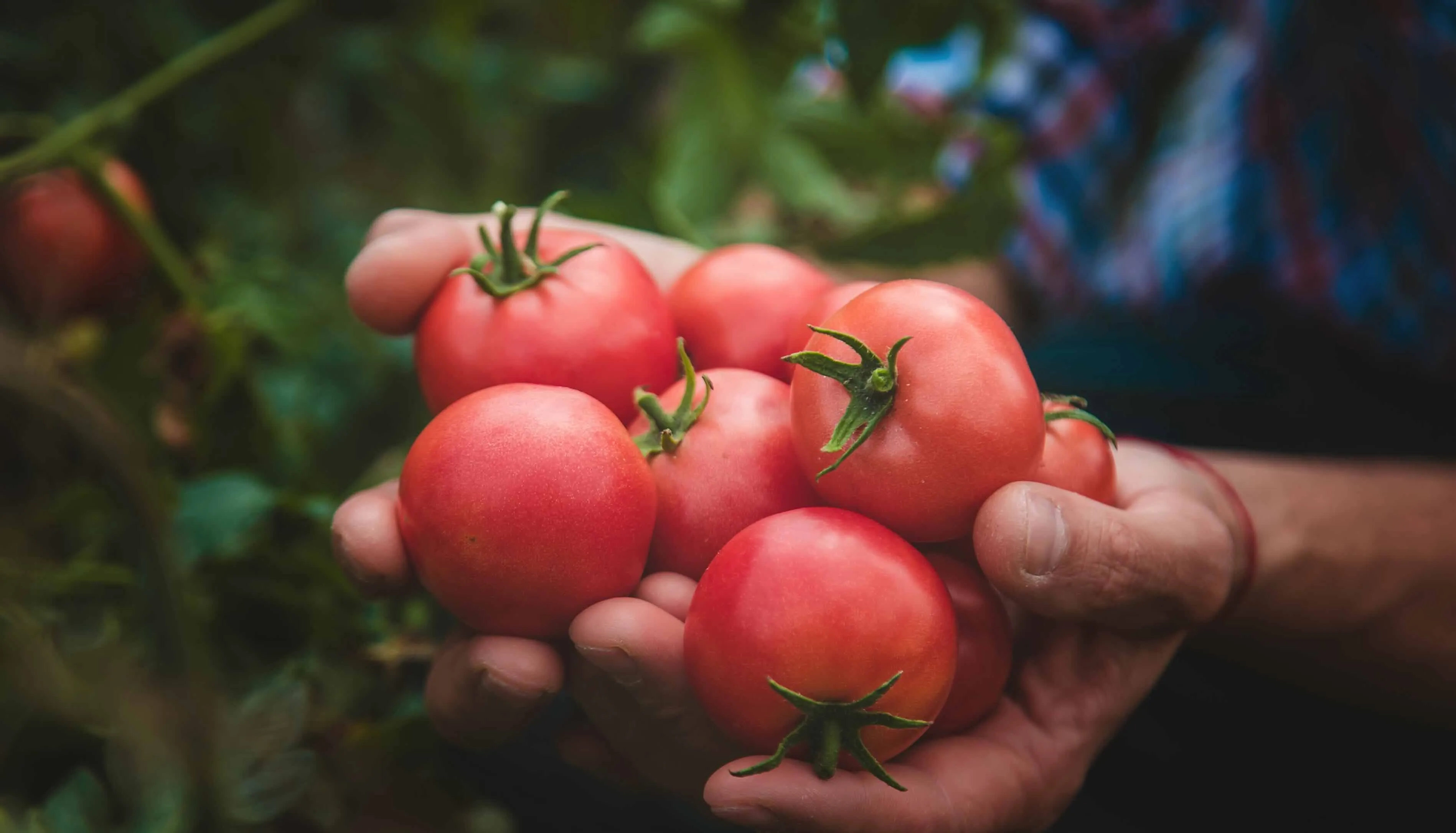 Produce & Perishables Logistics and Freight