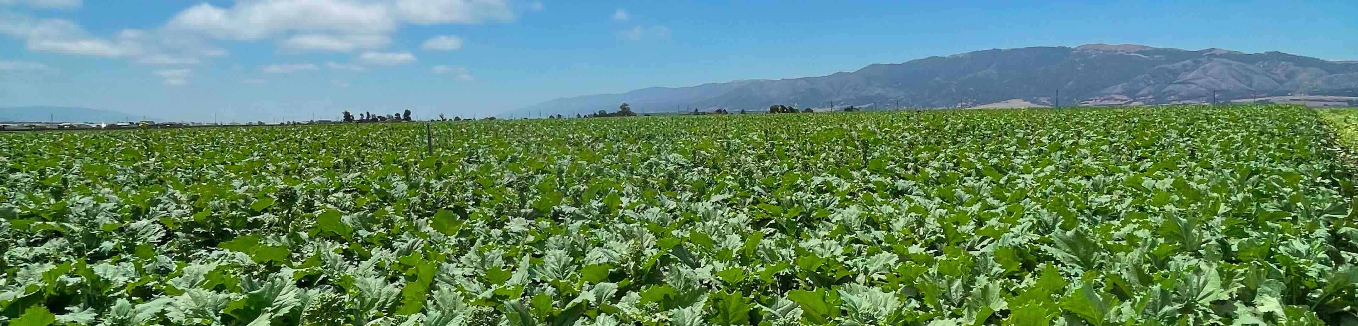 Produce & Perishables Logistics and Freight