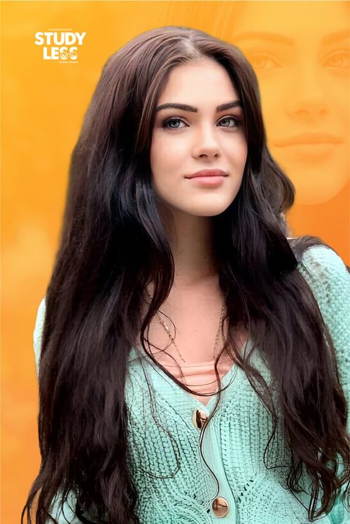 StudyLess - Онлайн школа англійської мови