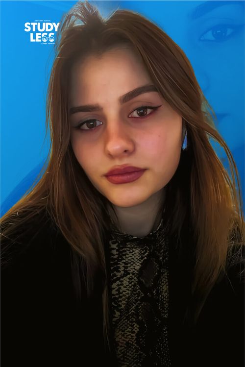 StudyLess - Онлайн школа англійської мови