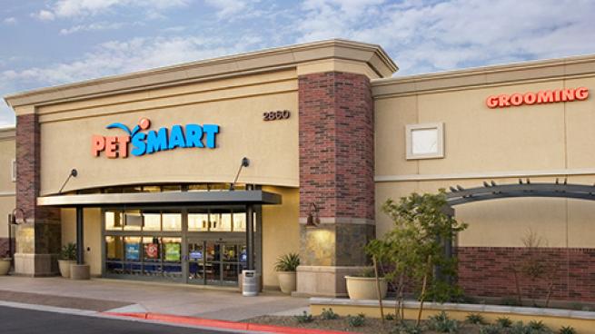 PetSmart updates loyalty program - Article FlowX - Webflow HTML website ...