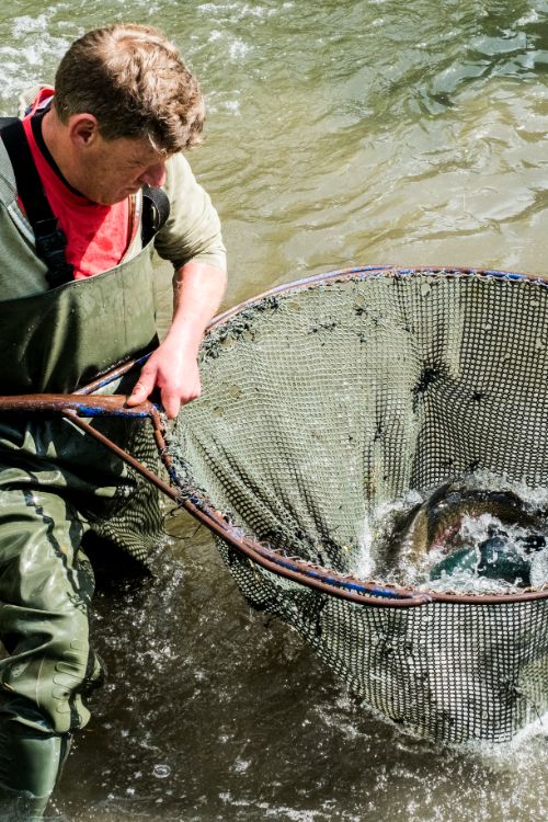 What is Fly Fishing? | Techniques & Gears Needed | Frontier Anglers TN