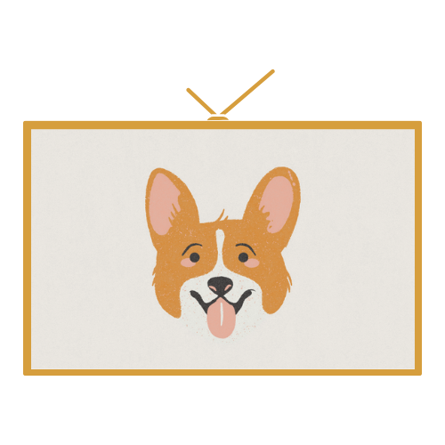 BarBoards - Elevating Your Bar's Advertising Experience