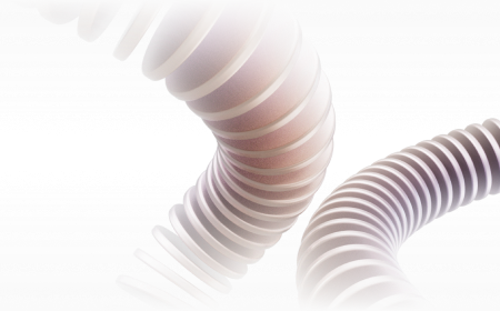 Fusang: Leading Digital Securities and Cryptocurrency Exchange in Asia