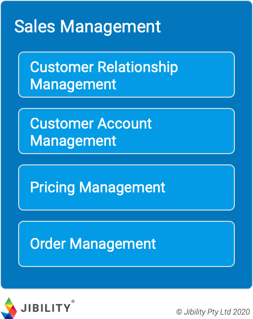 Business Capability Definition and Examples [Guide] | Jibility