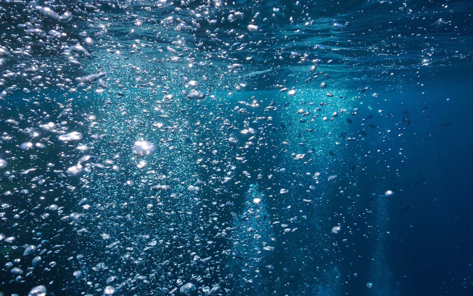 Cybersecurity Services in Canada | CyberShell