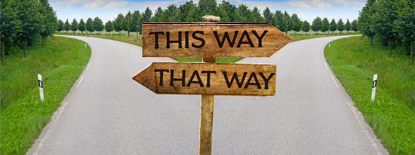 What is a branching web comic?