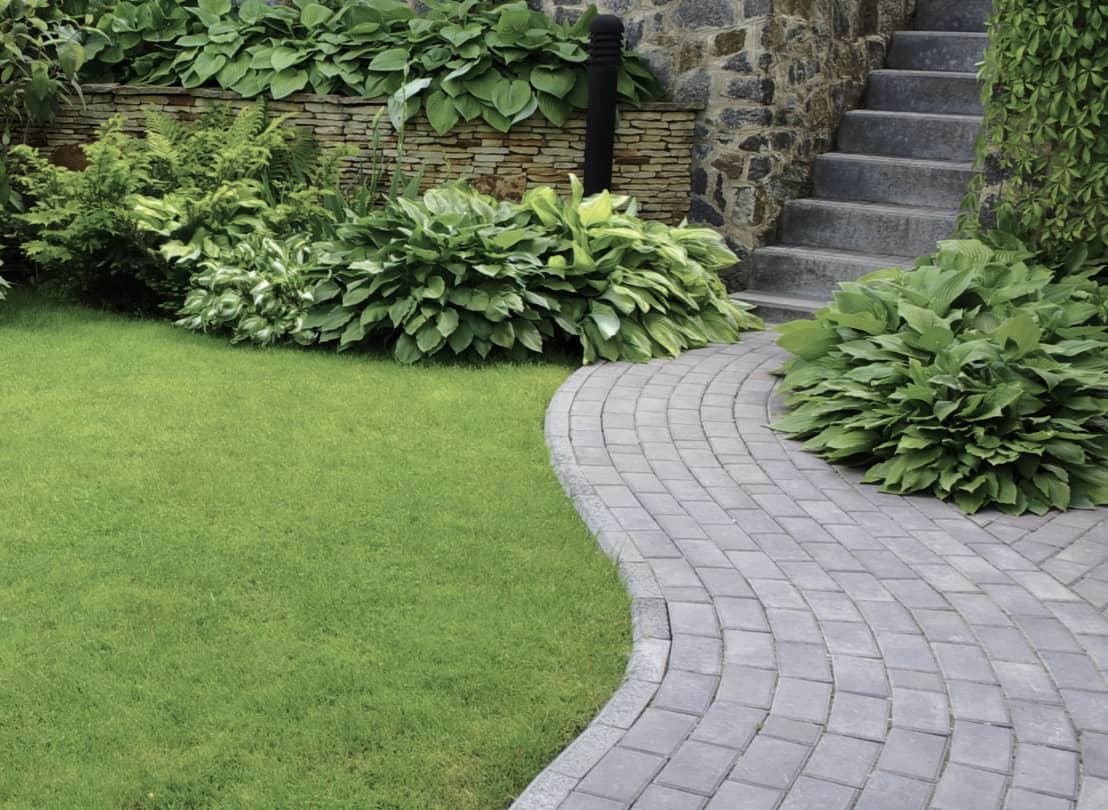 Planting and Softscapes | Paradise Paving