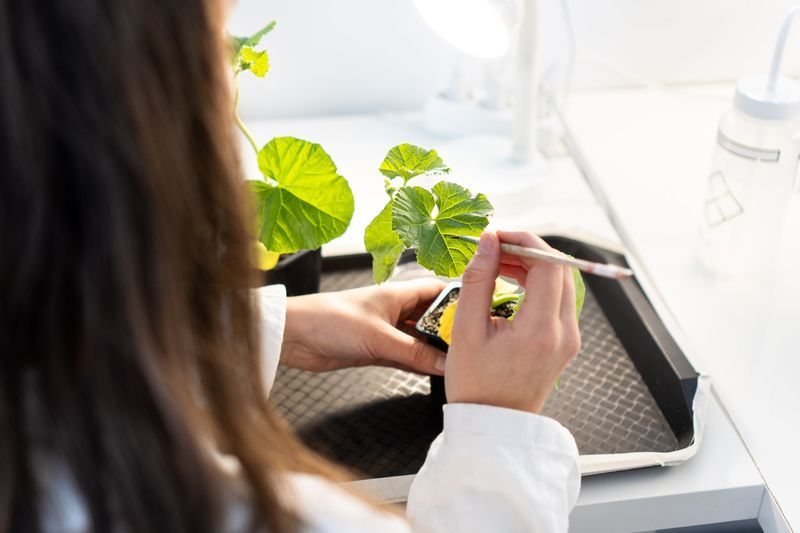 Agriodor - Solutions