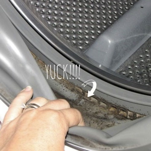 Splash Spotless | Washing Machine Cleaning Product