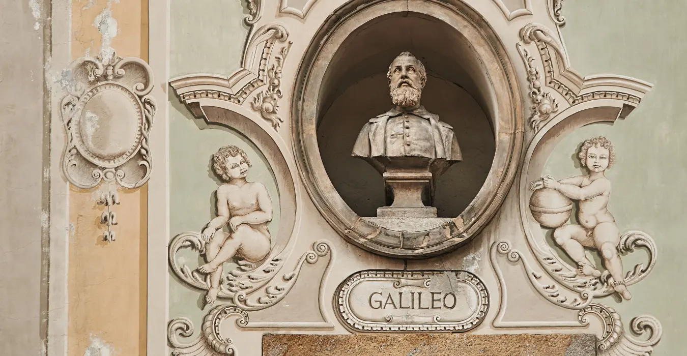 The Law of Falling Bodies: A 101 Guide for Dummies | Science