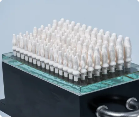 Additive Manufacturing of Ceramics for Biomedical | SiNAPTIC