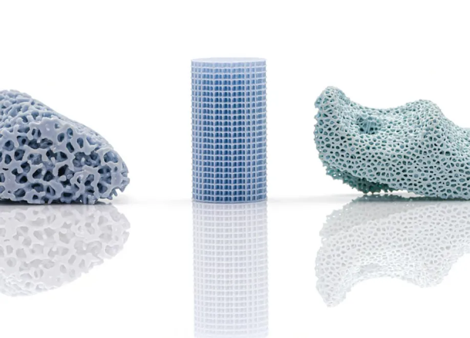 Additive Manufacturing of Ceramics for Biomedical | SiNAPTIC