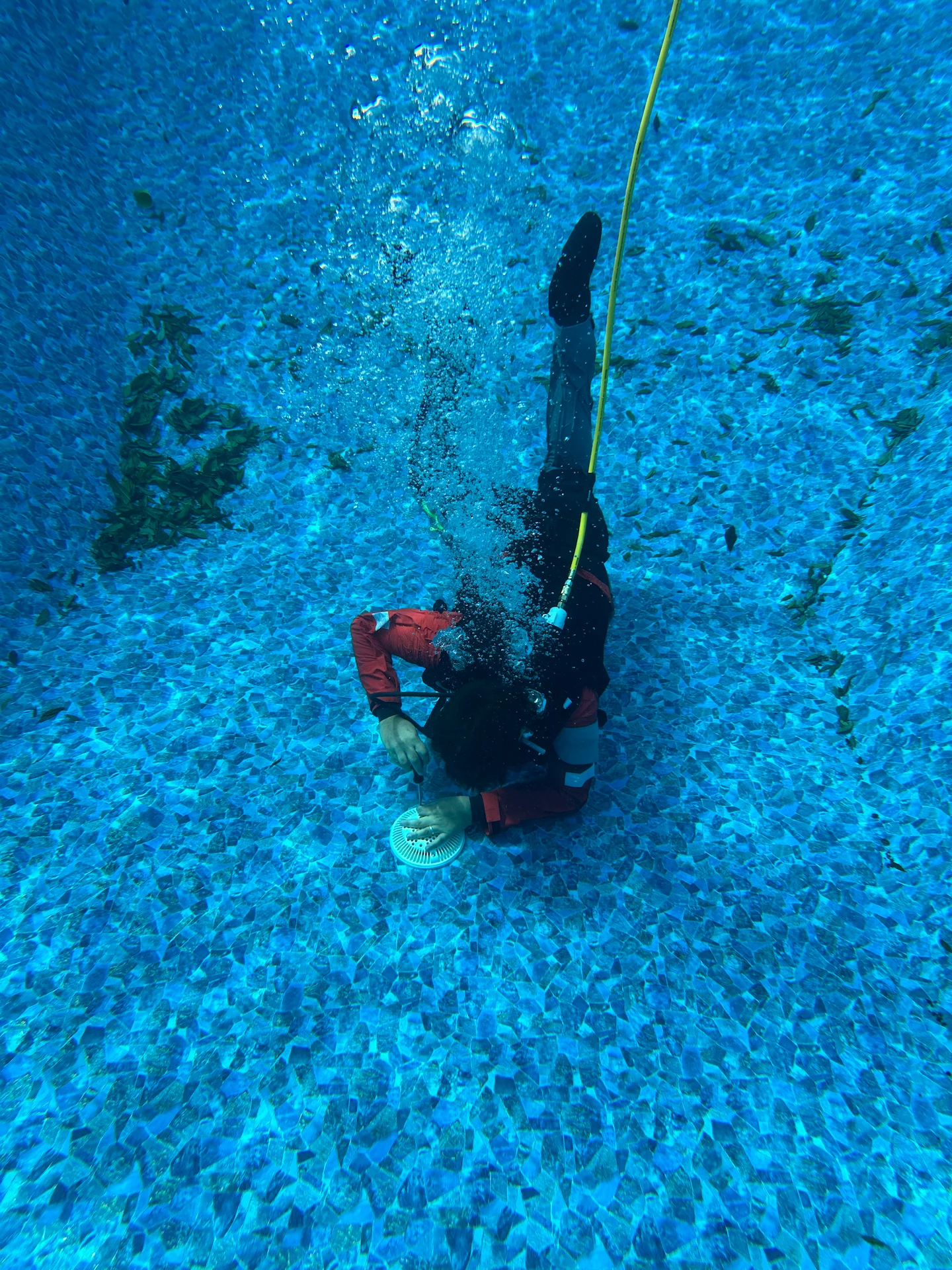 AquaVision's Pool Services | Expert Pool Care in College Station, TX